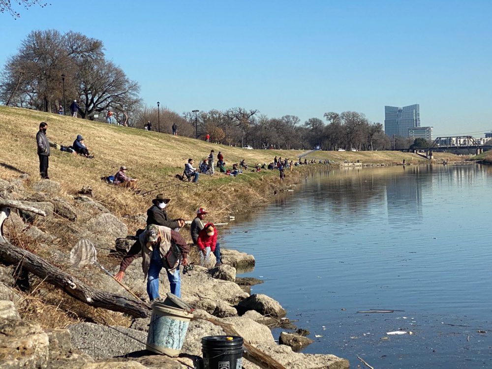 The New Year Brings More Trout to the Trinity River - Trinity Trails