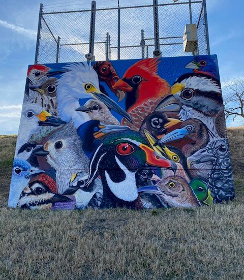 Painting the River: Nolan Mueller - Trinity Trails