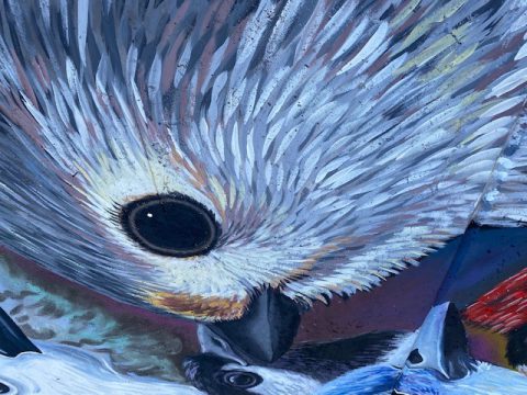 Painting the River: Nolan Mueller - Trinity Trails