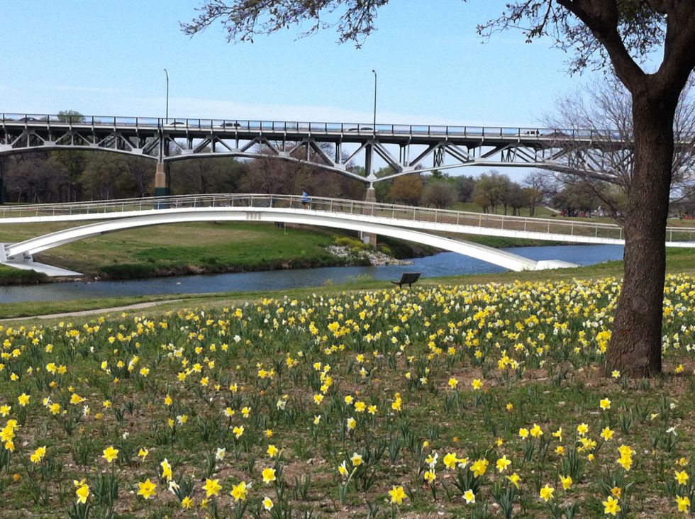 Guide to the Perfect Trinity Trails Summer - Trinity Trails